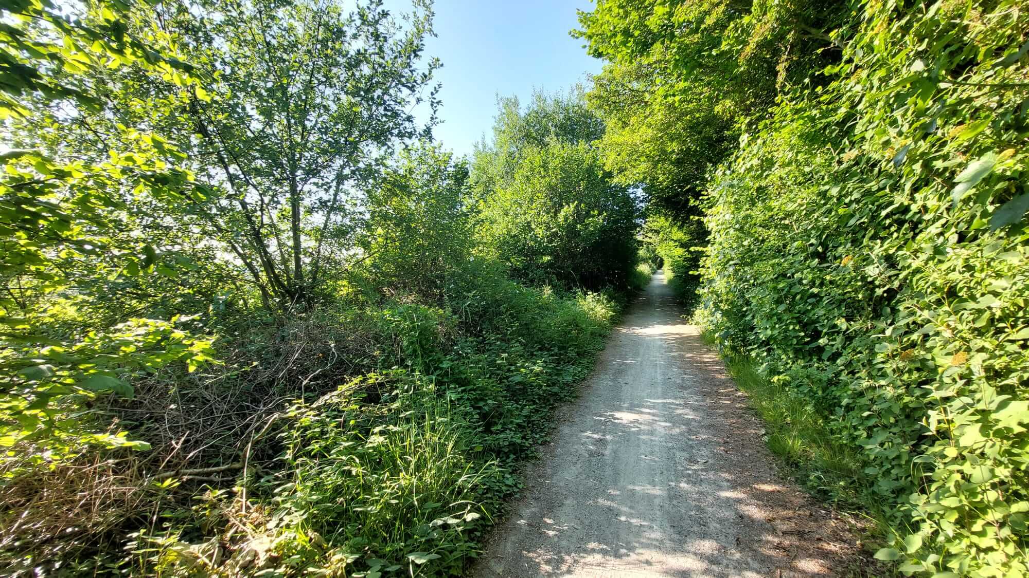 Running in Hot Weather | Run For Your Life